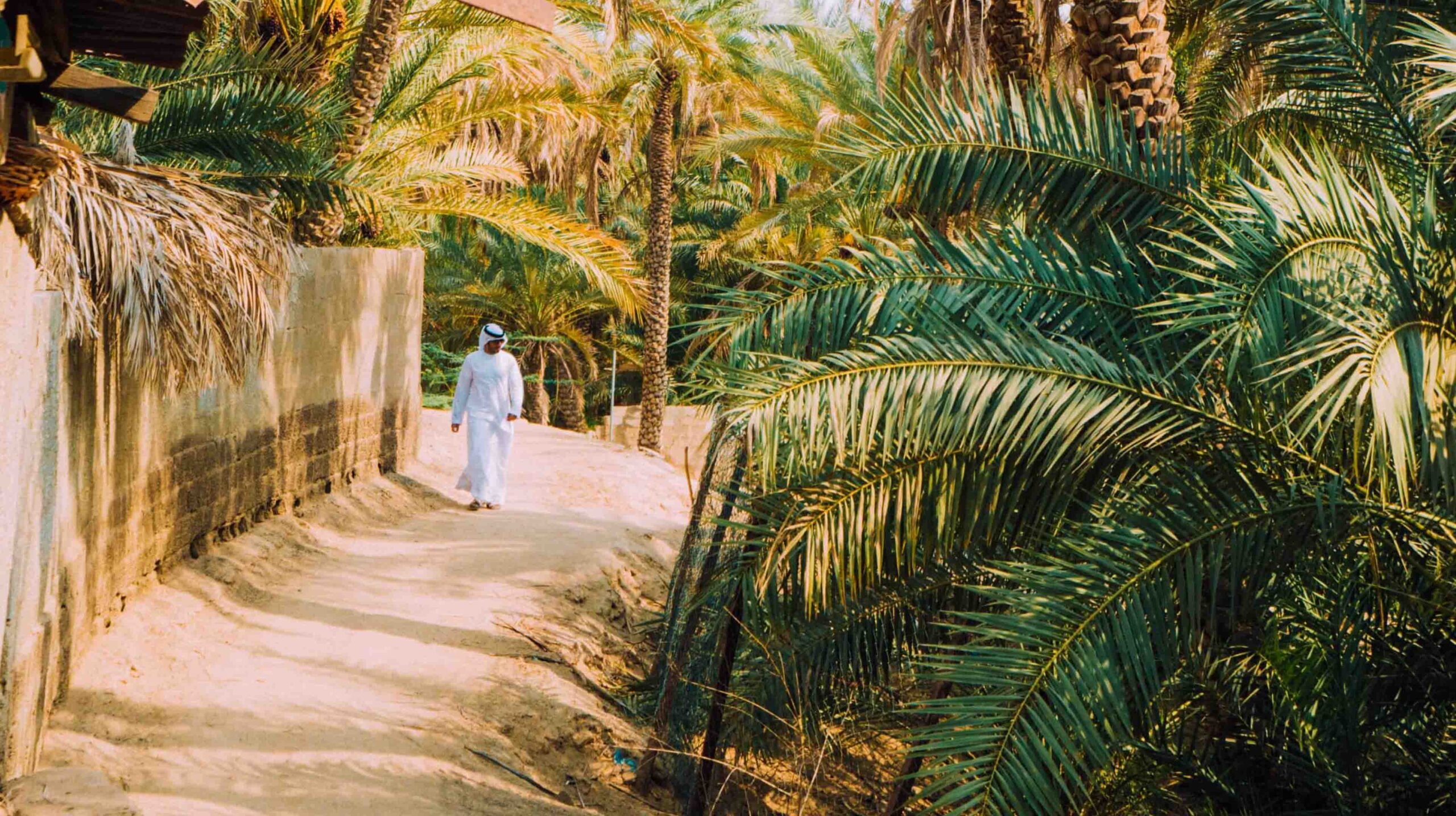Al Ain Oasis And Heritage Tour Al Toor Tours Al Ain Oasis And Heritage Tour Al Toor Tours